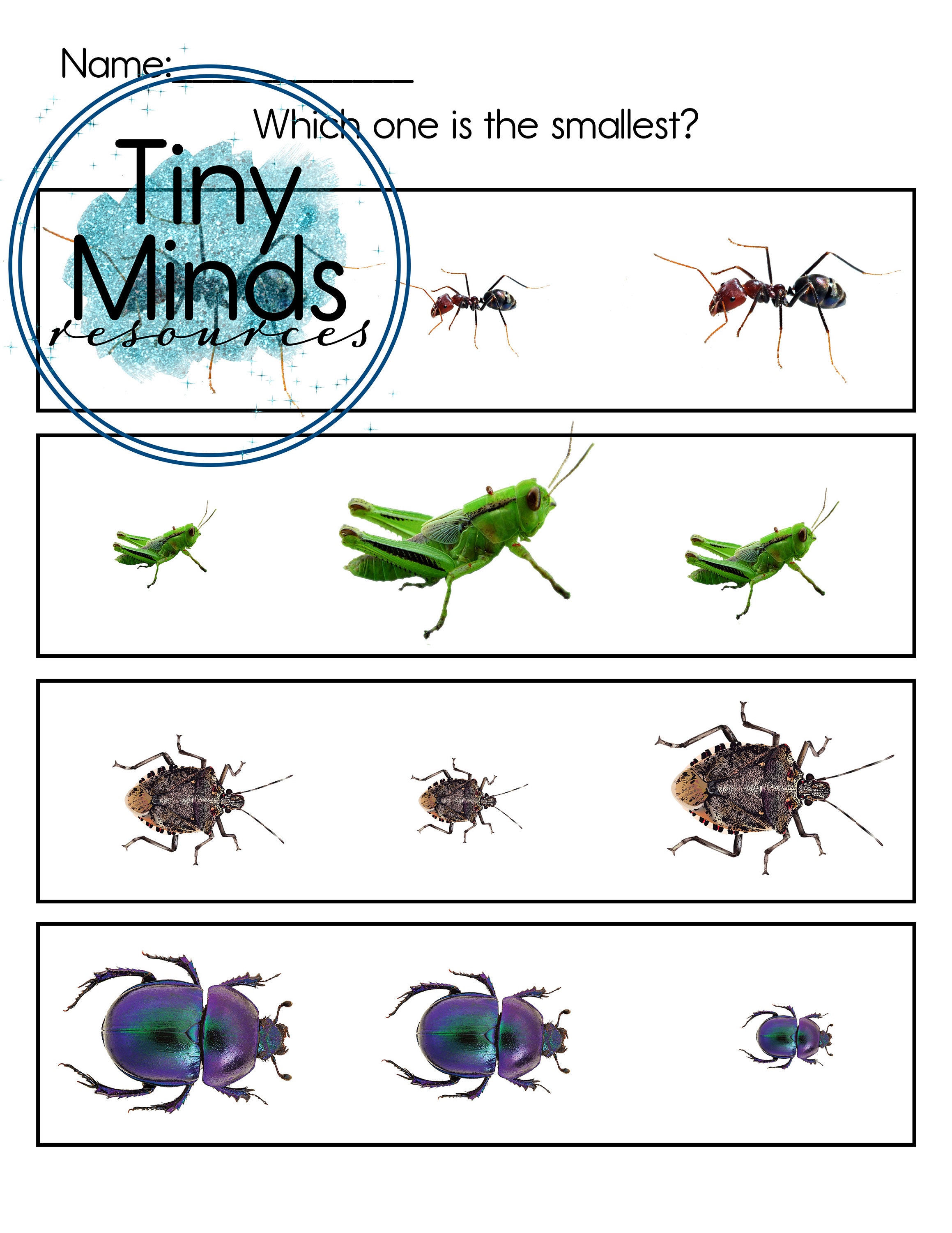 Pre-k Insect Themed Learning Pack - Etsy