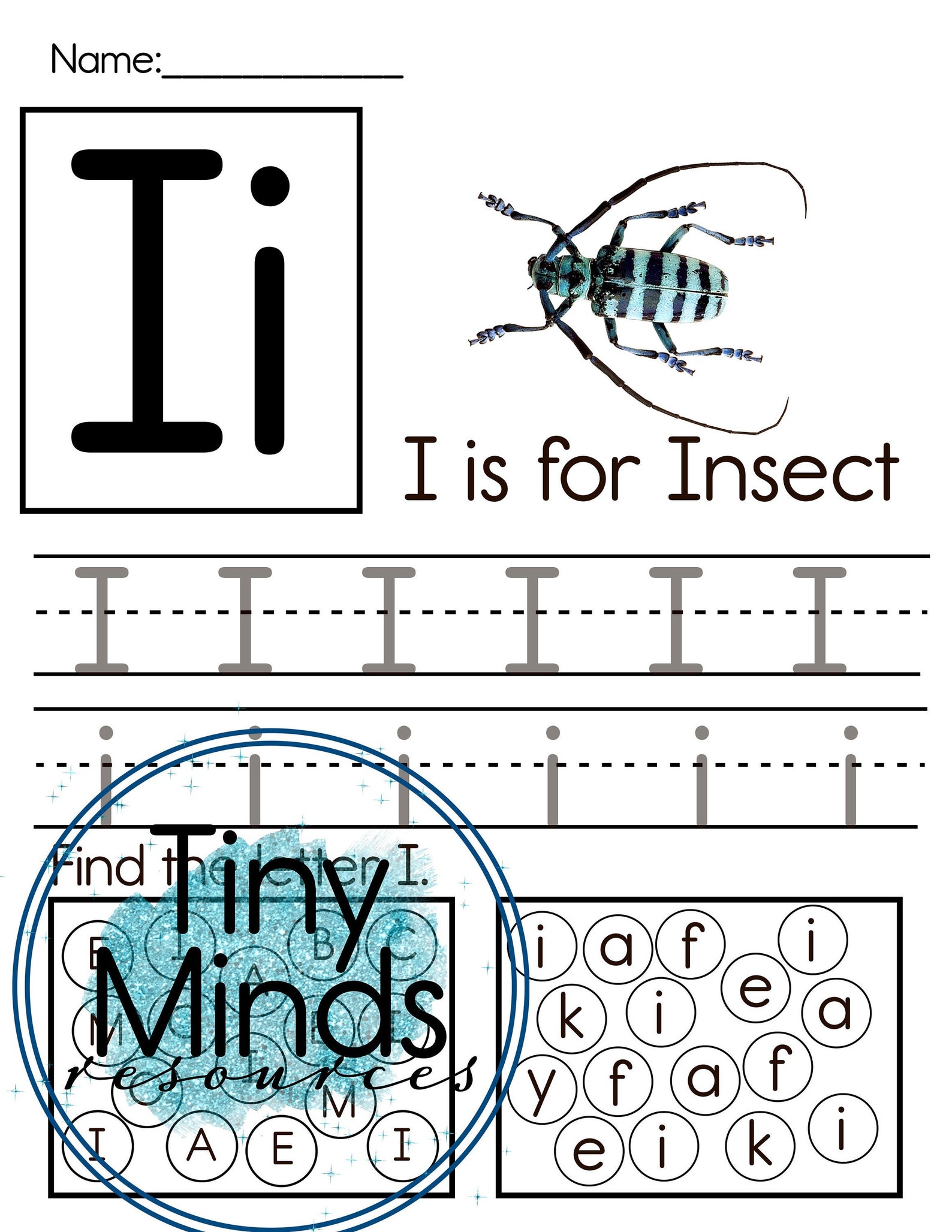 Pre-k Insect Themed Learning Pack - Etsy