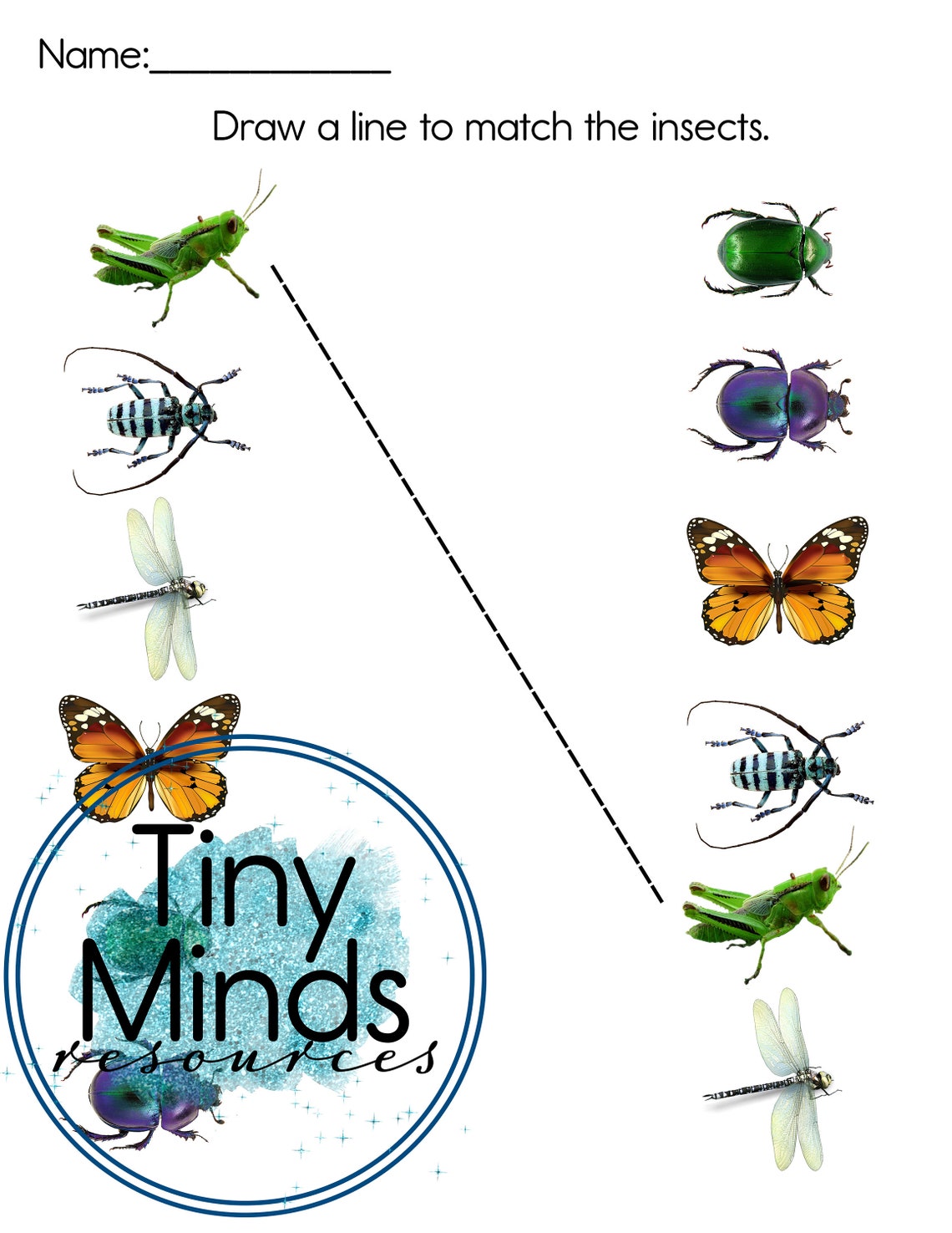 Pre-k Insect Themed Learning Pack - Etsy