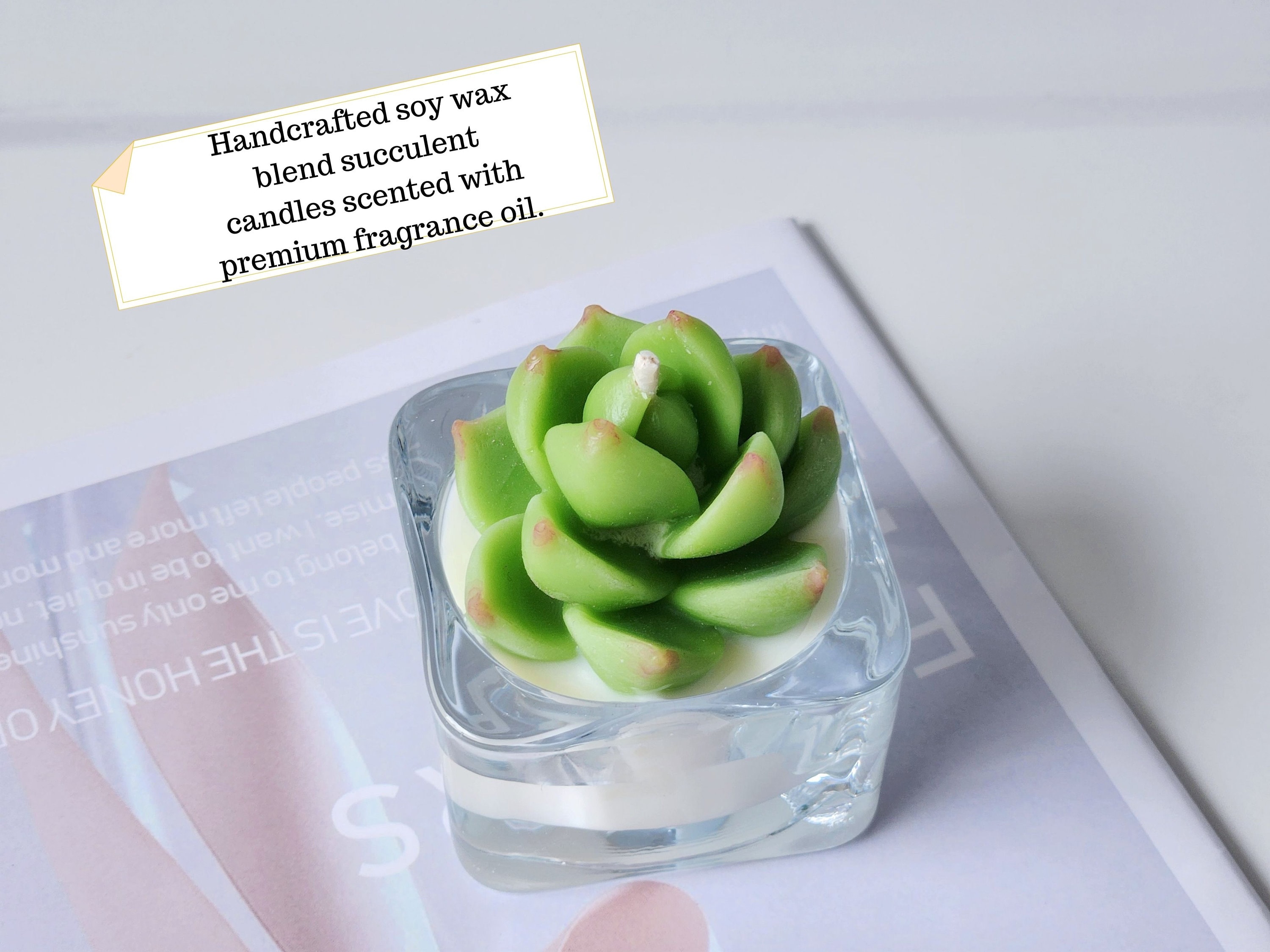 Best Mom Ever Mother's Day Gift Set for Cactus Lover Mom, Cute Cacti ...