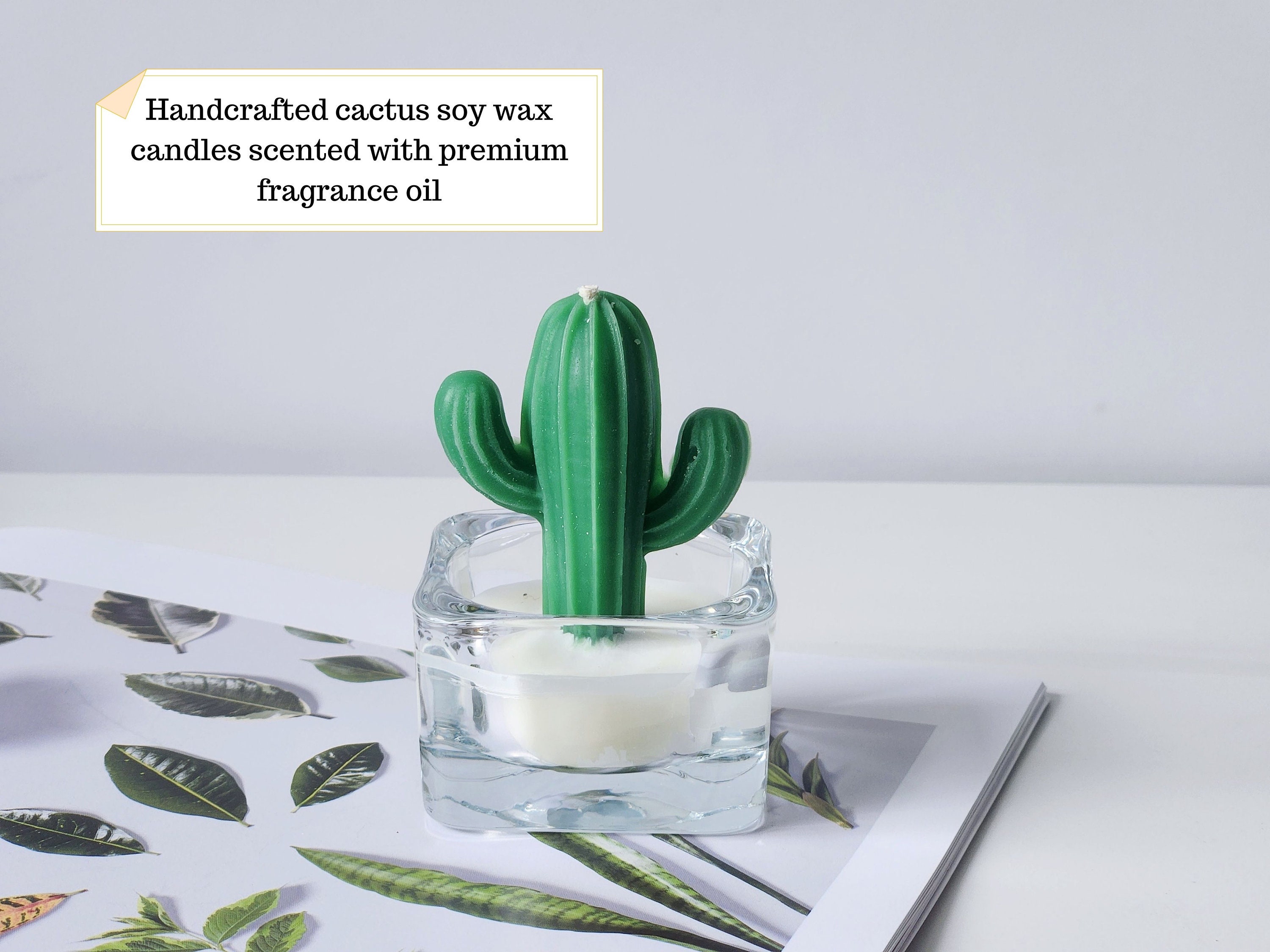 Best Mom Ever Mother's Day Gift Set for Cactus Lover Mom, Cute Cacti ...