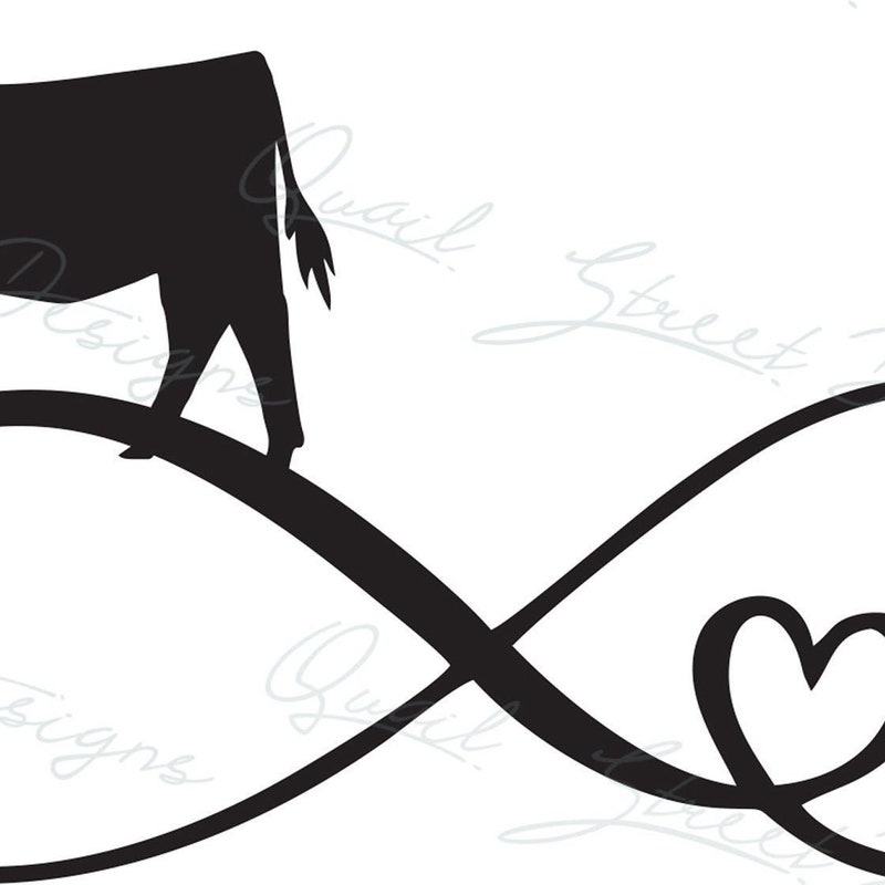 Heifer Decal - Etsy