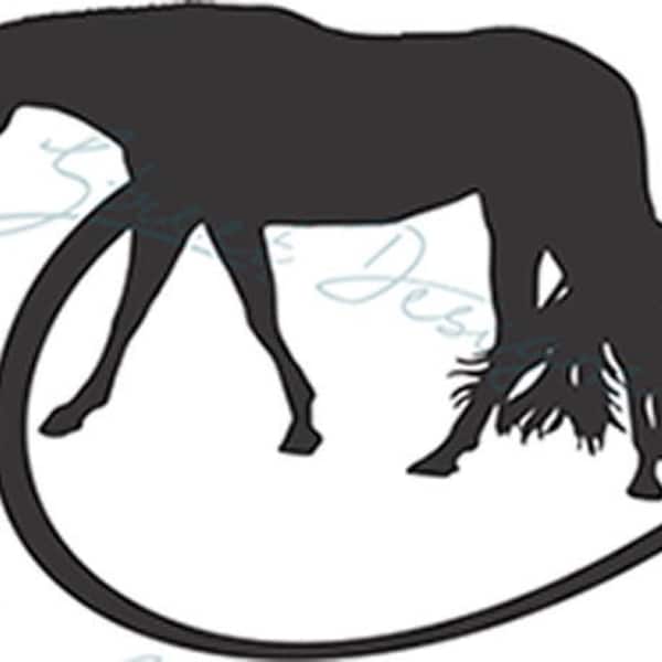 Aqha Decal - Etsy