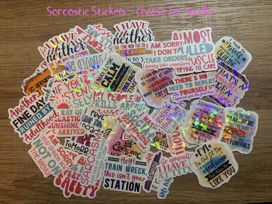 Sarcastic Stickers: Funny Rude Holographic Vinyl Decals - Etsy