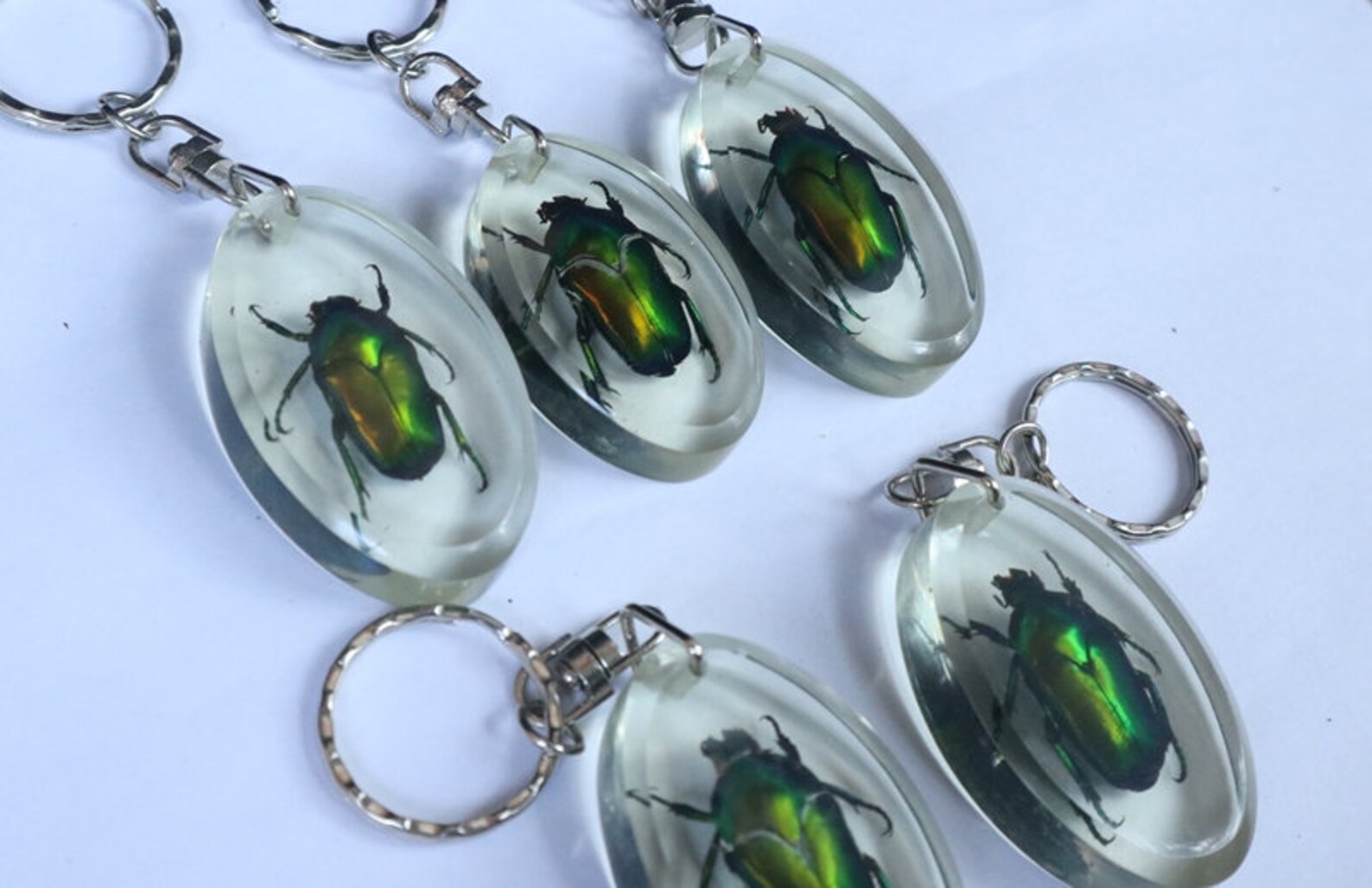 Real Green Rose Chafer Beetle Keychains Encased in Clear Resin lots 5 ...
