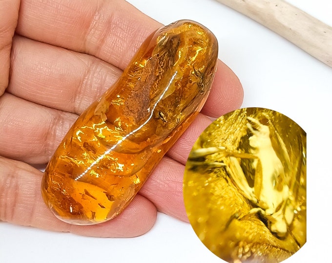 Rare Baltic Amber Stone With Insect Inclusion, Collectors Specimen ...