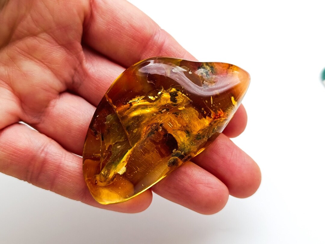 Collectors Specimen Amber Stone Natural Baltic Amber Stone - Etsy