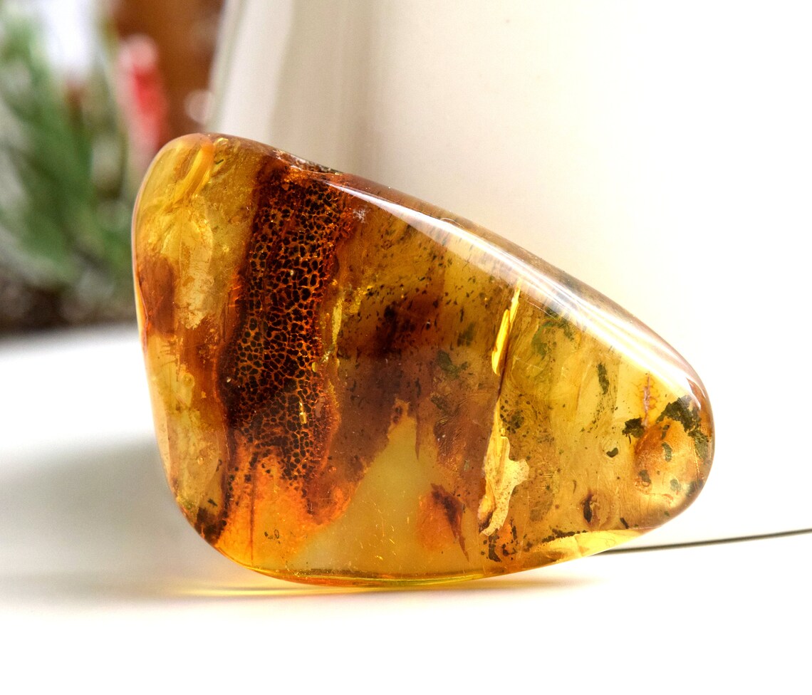 Genuine Amber StoneCollector's PieceNatural Baltic Amber | Etsy