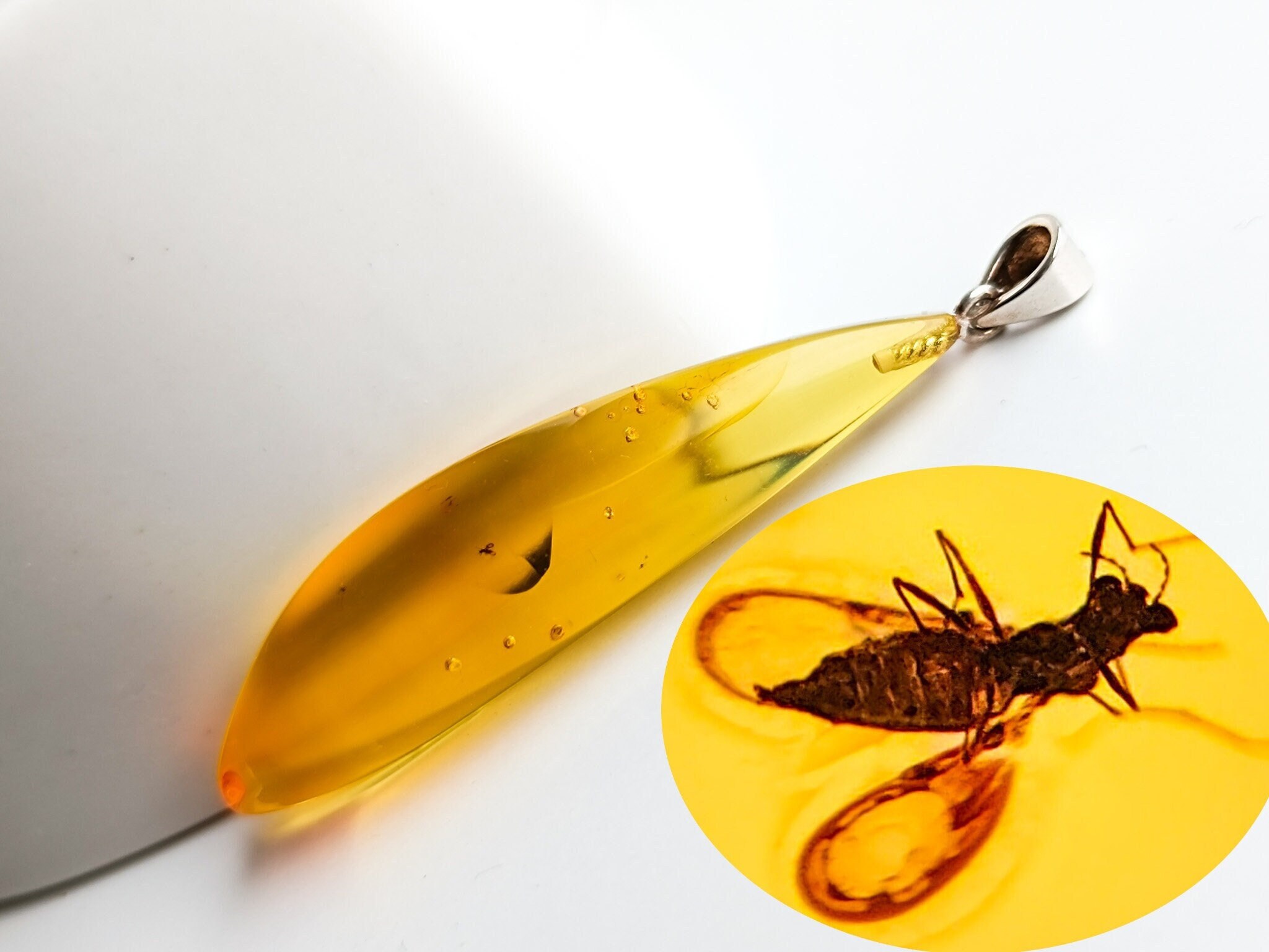 Amber pendant with insect store