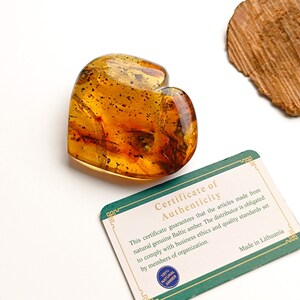 43gr Large Natural Heart Shape Amber Stone With Spider Inclusion ...