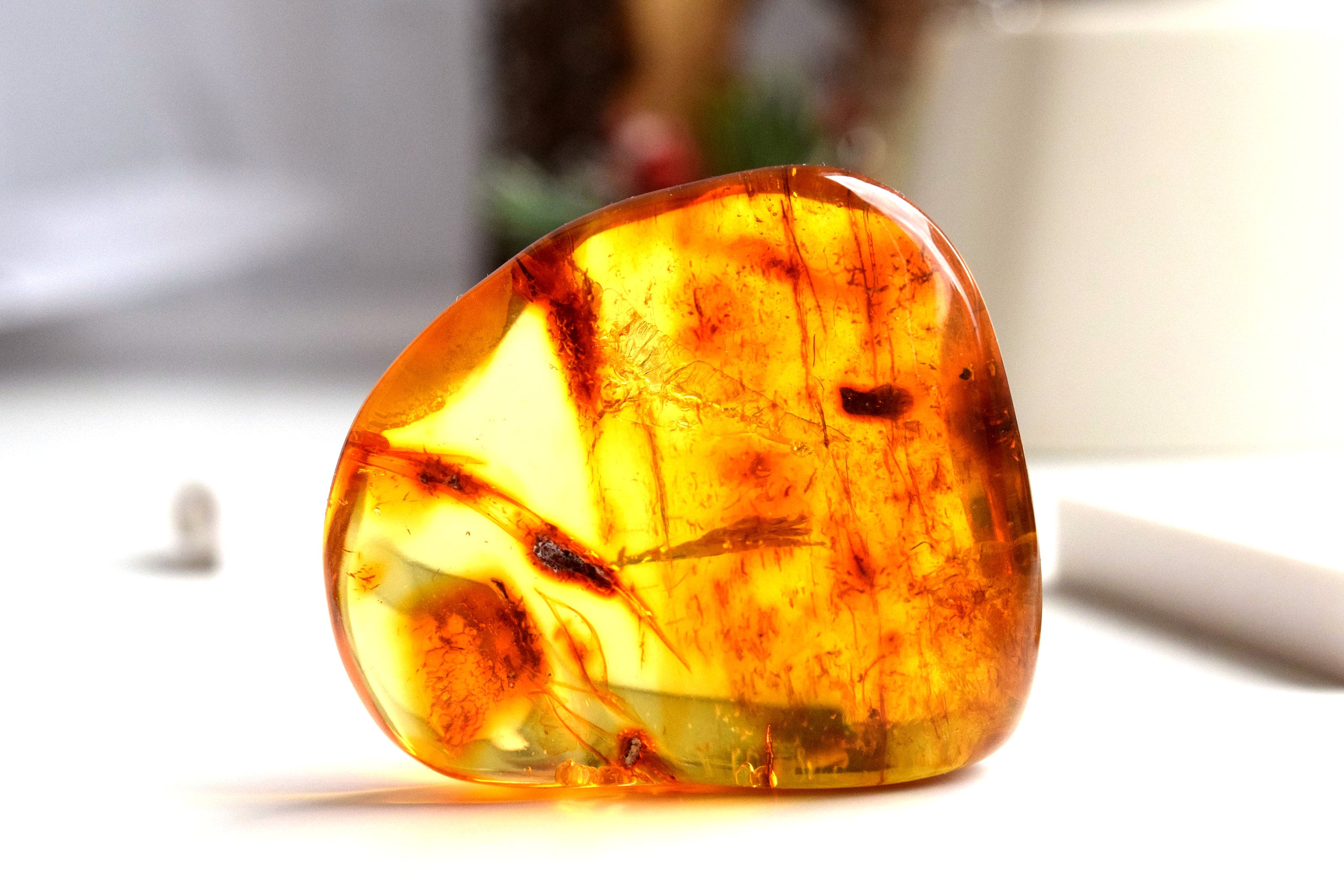 Baltic Amber StoneHealing Crystal and Stone Mythology Amber | Etsy