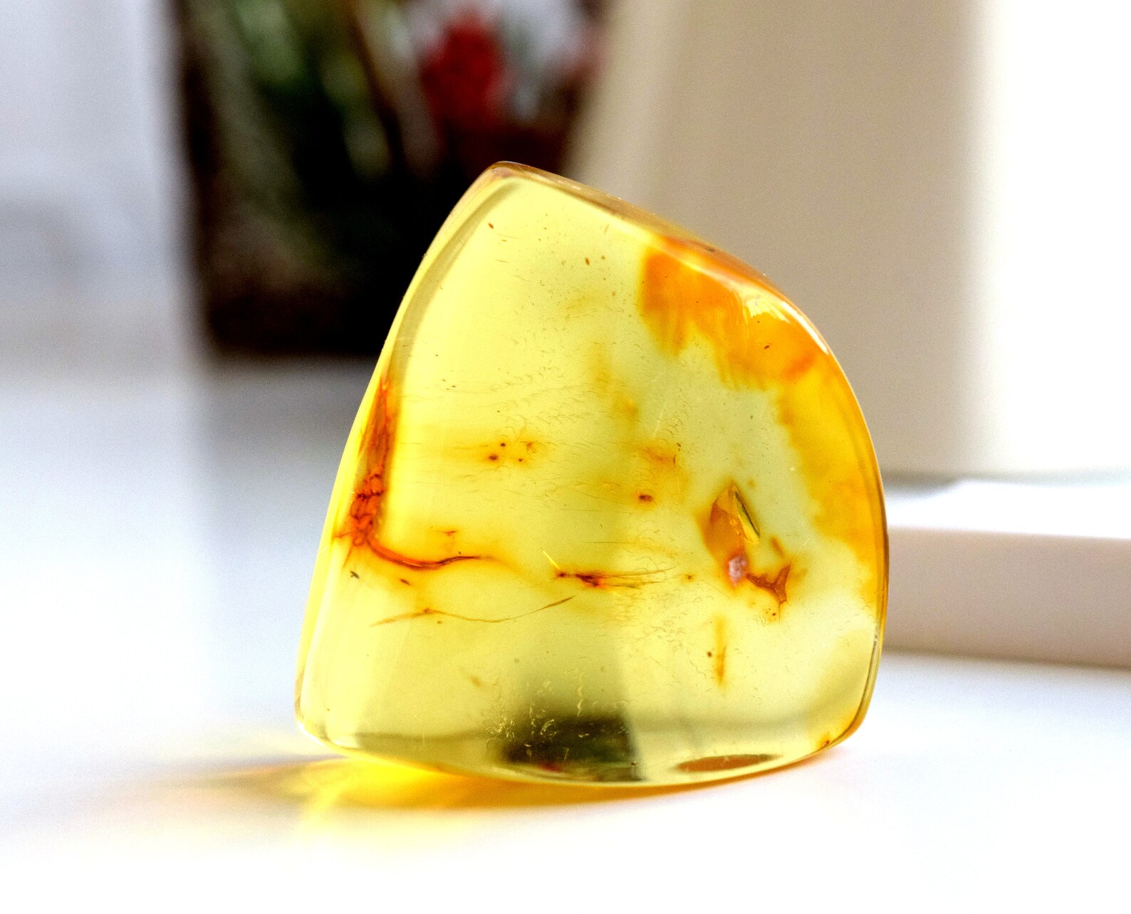 Large Amber Stone Collectors Specimen Amber palm stone for | Etsy