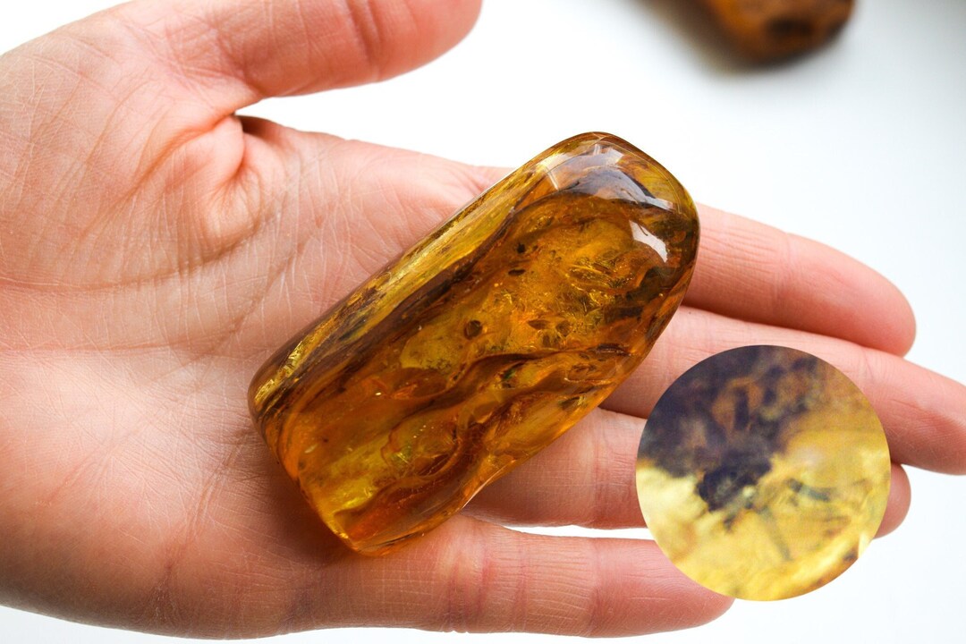 Großer Bernstein mit Insekteneinschluss baltischer Bernstein - Etsy.de