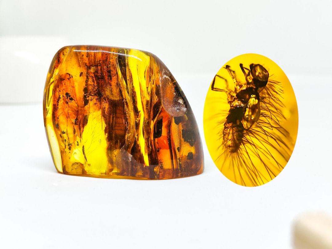 Massive Amber With Insect Inclusion, Amber Piece With Insect Fossils ...