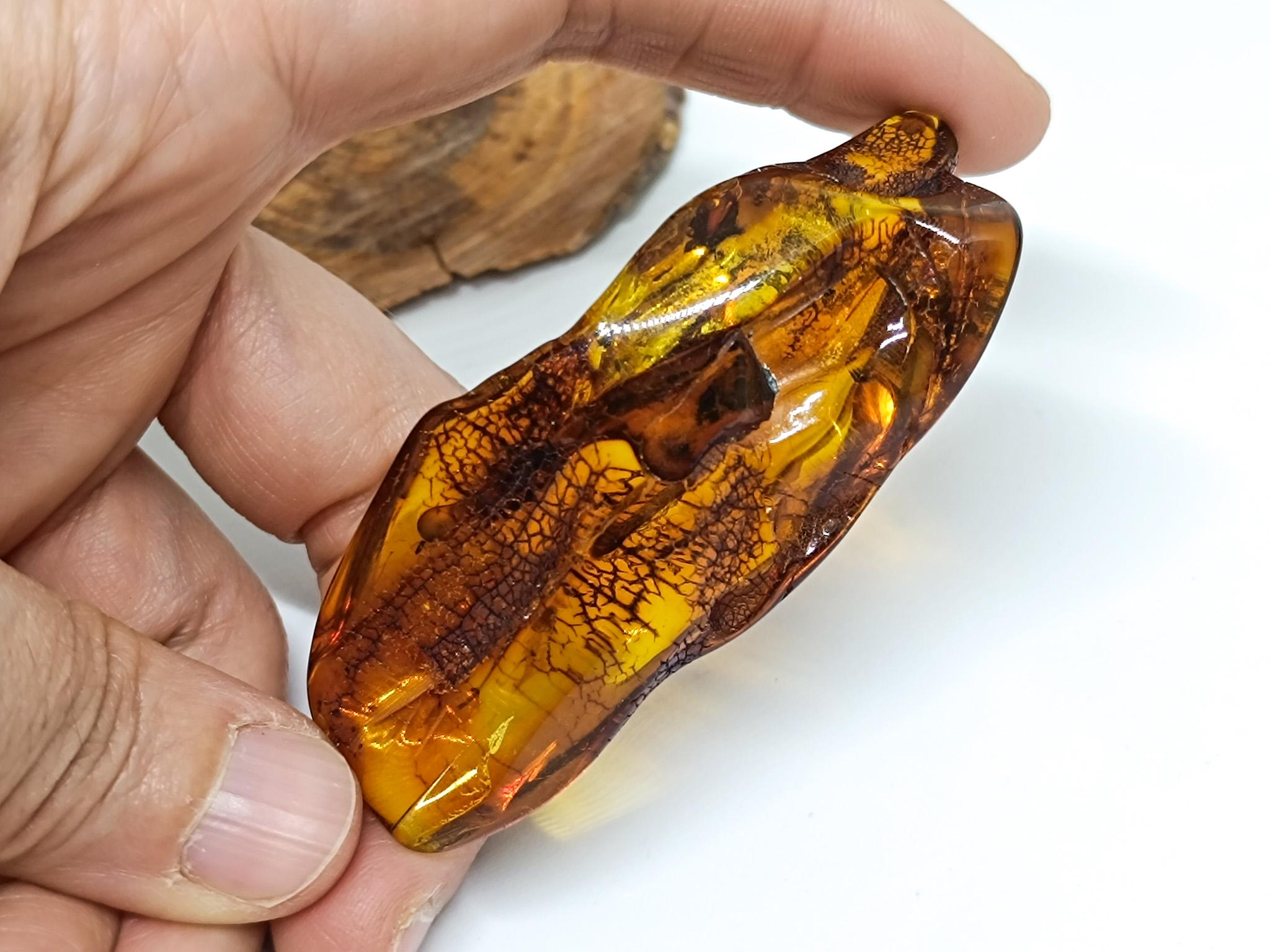 Large Natural Amber,collectors Specimen, Amber for Display, Large Palm ...