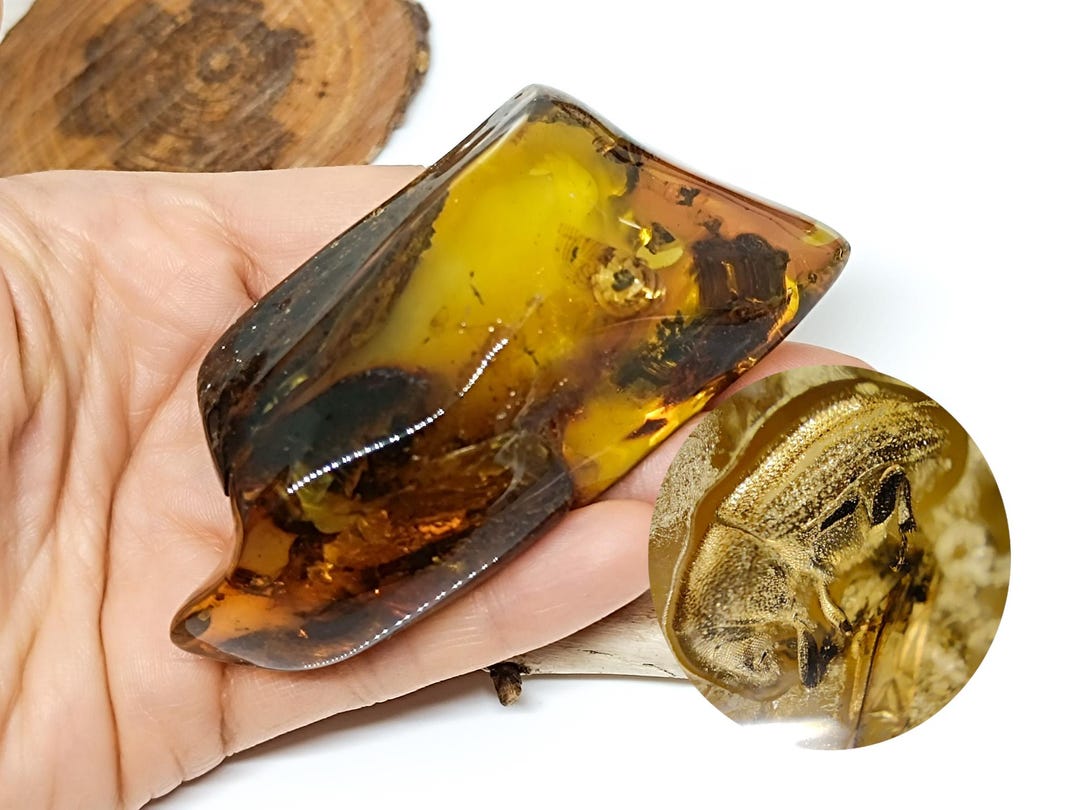 62gr Massive Natural Amber Stone With Insects, Collectors Amber ...