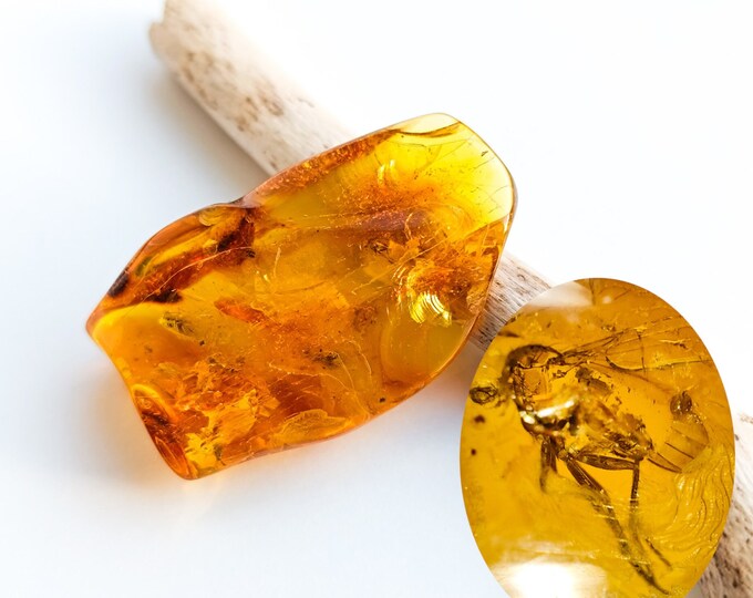 Rare Baltic Amber Stone With Insect Inclusion, Collectors Specimen ...