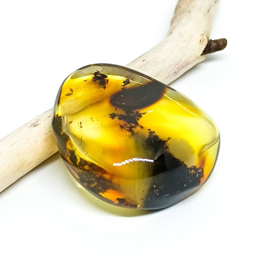 Large Amber Stone Collectors Specimen, Amber for Display, Large Palm ...