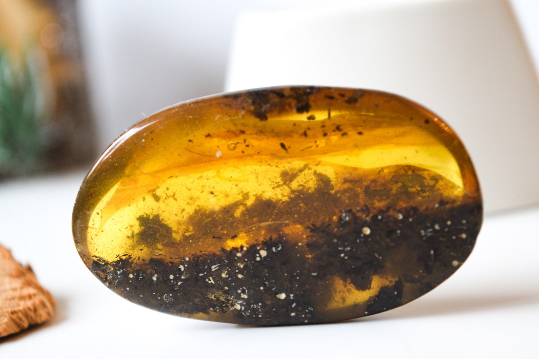 Large Amber Stone Collectors Specimen Amber Stone for - Etsy