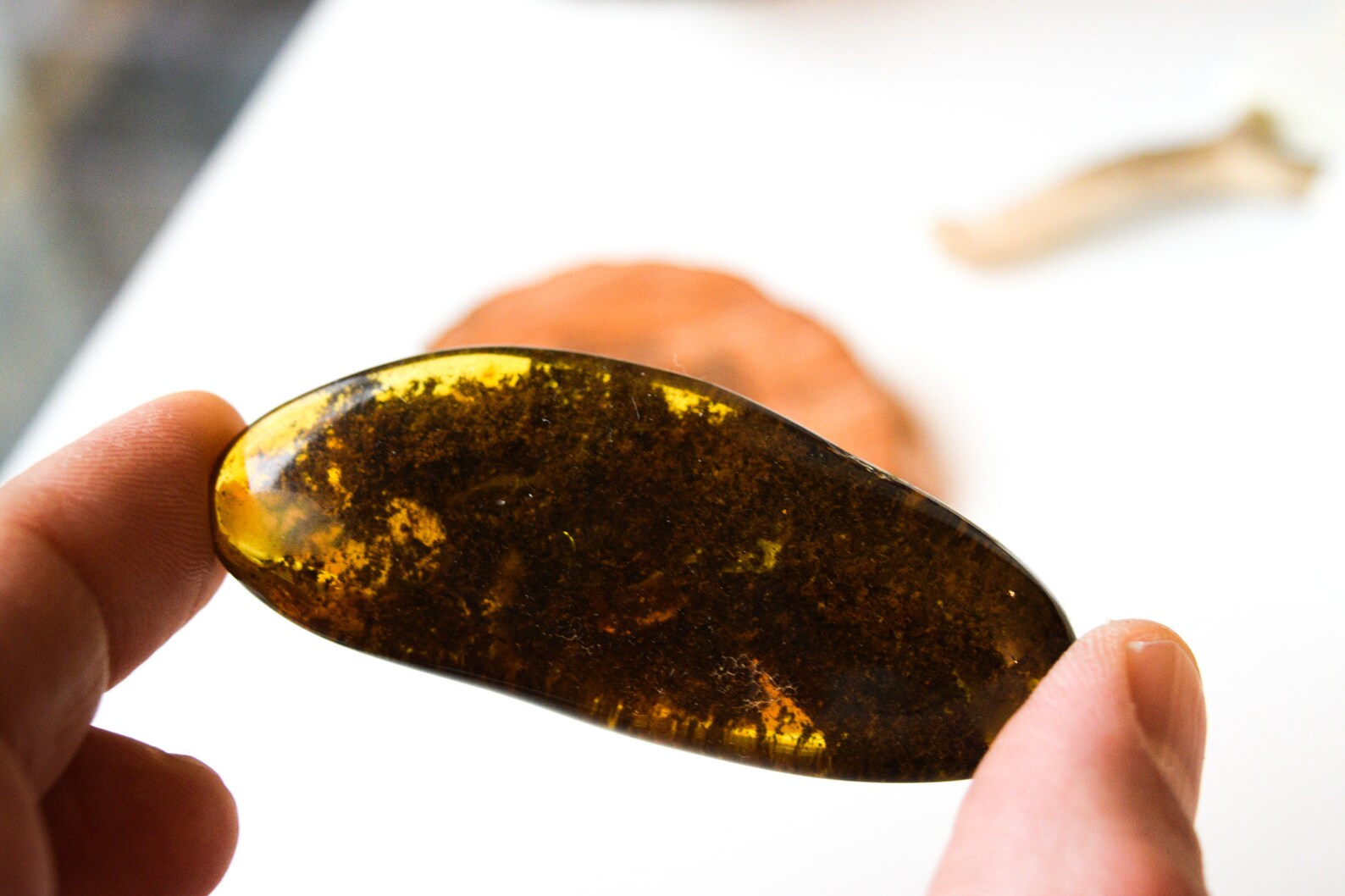 Large Amber Stone Collectors Specimen Amber Stone for - Etsy
