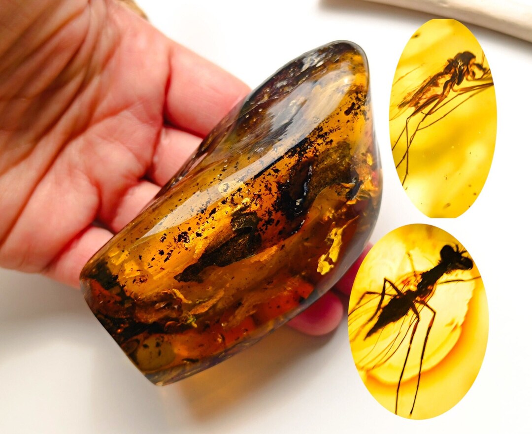 91gr Massive Natural Amber Stone With Insects, Collectors Amber ...
