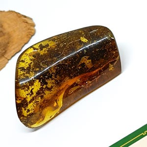 41gr Large Amber Stone, Collectors Specimen, Amber Stone for Display ...