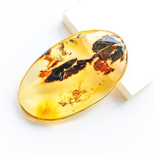 Large Amber Stone, Collectors Specimen, Amber Stone for Display ...