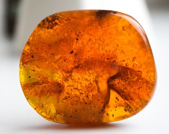 Large Amber Stone | Etsy