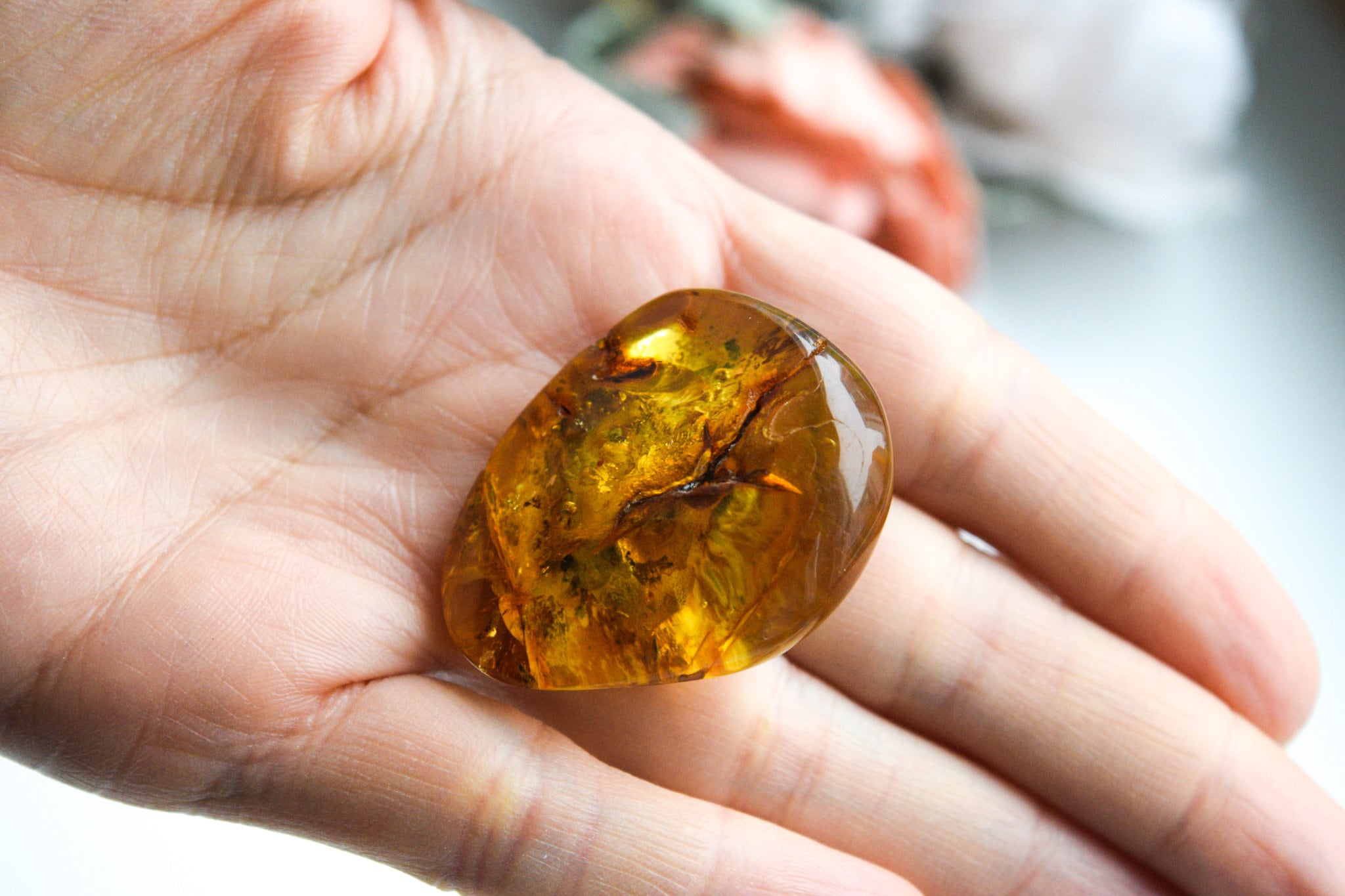 Unique Amber Stonecollector's Piecenatural Baltic Amber - Etsy