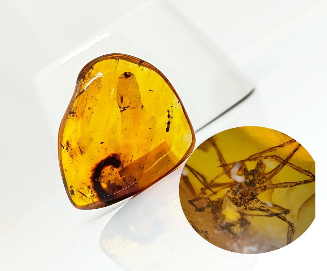 Large Baltic Amber With Insect, Collectors Specimen, Amber Stone for ...