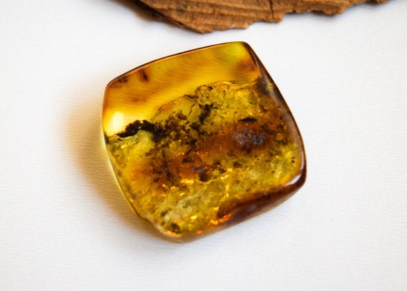 Collectors Specimen Amber Stone Natural Baltic Amber Stone - Etsy