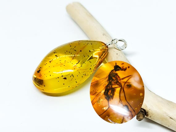 Genuine amber store