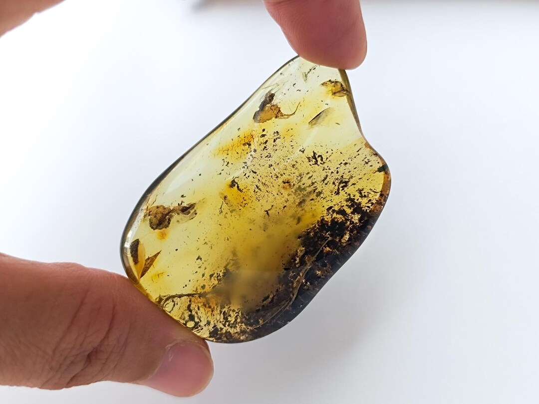 Large Natural Baltic Amber Stone, Collectors Specimen, Amber Gift ...