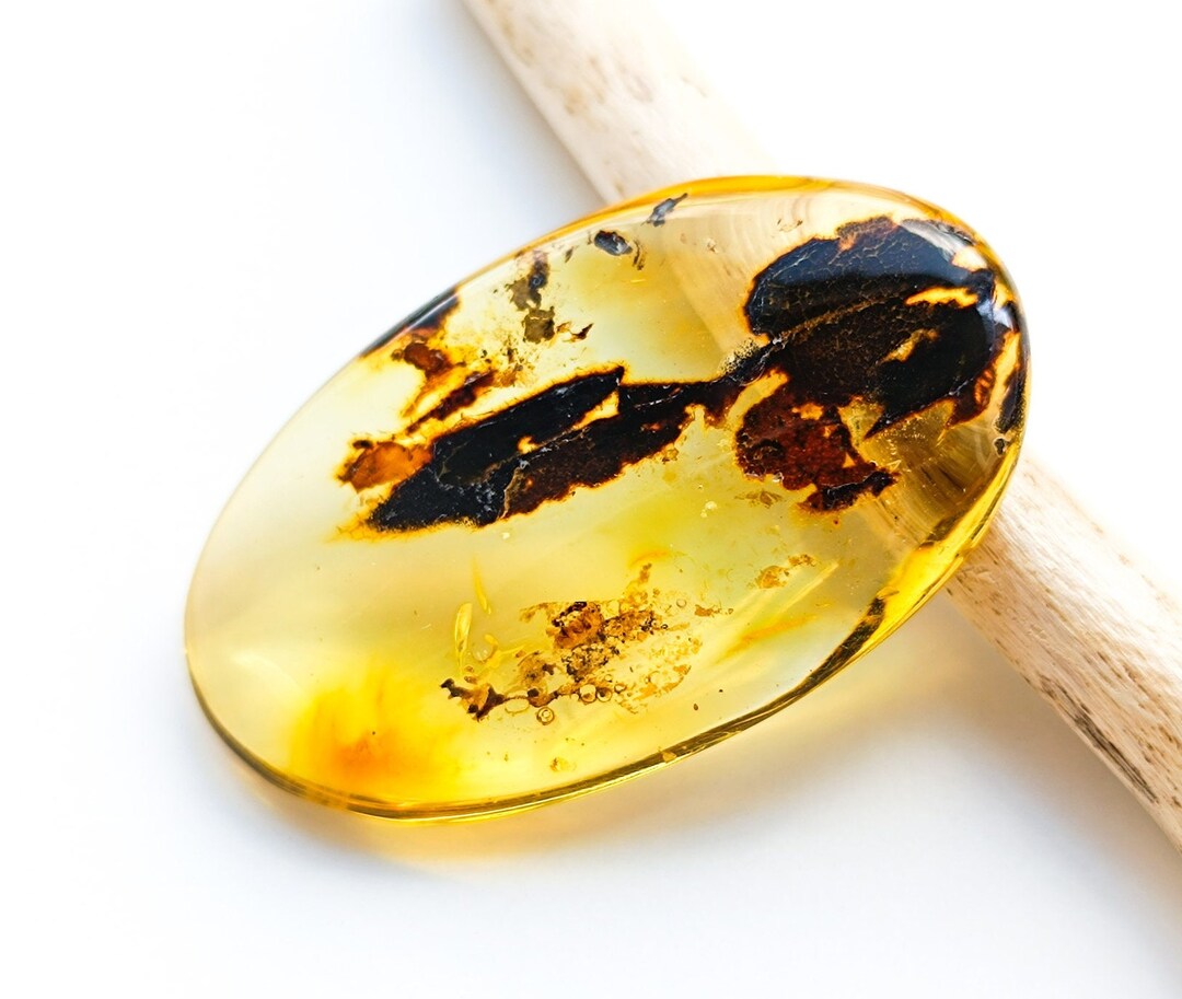 Large Amber Stone, Collectors Specimen, Amber Stone for Display ...