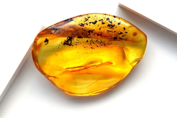 Collectors Specimen Amber Stone Natural Baltic Amber Stone | Etsy