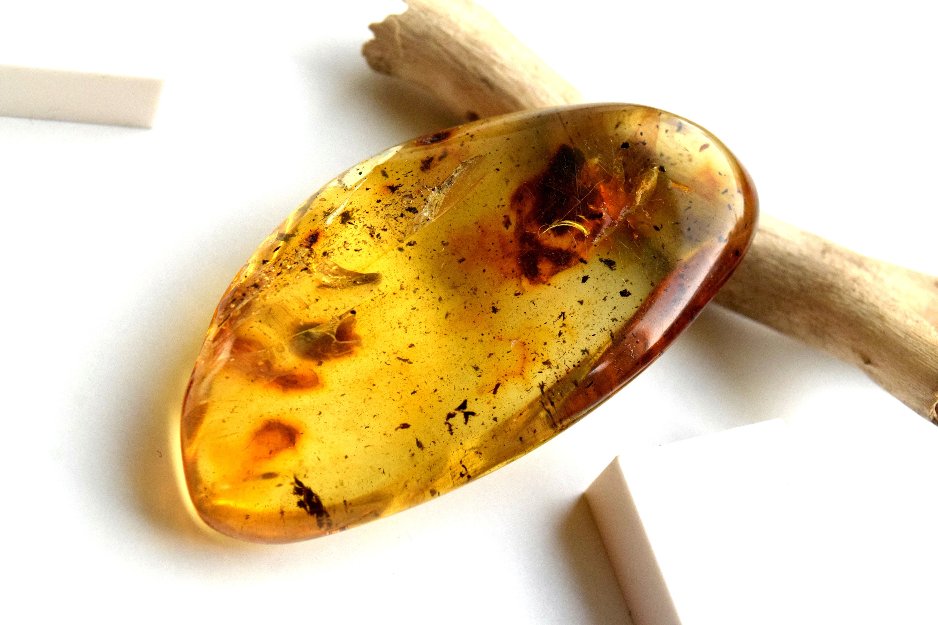 Large Amber Stone Collectors Specimen Amber for Display | Etsy