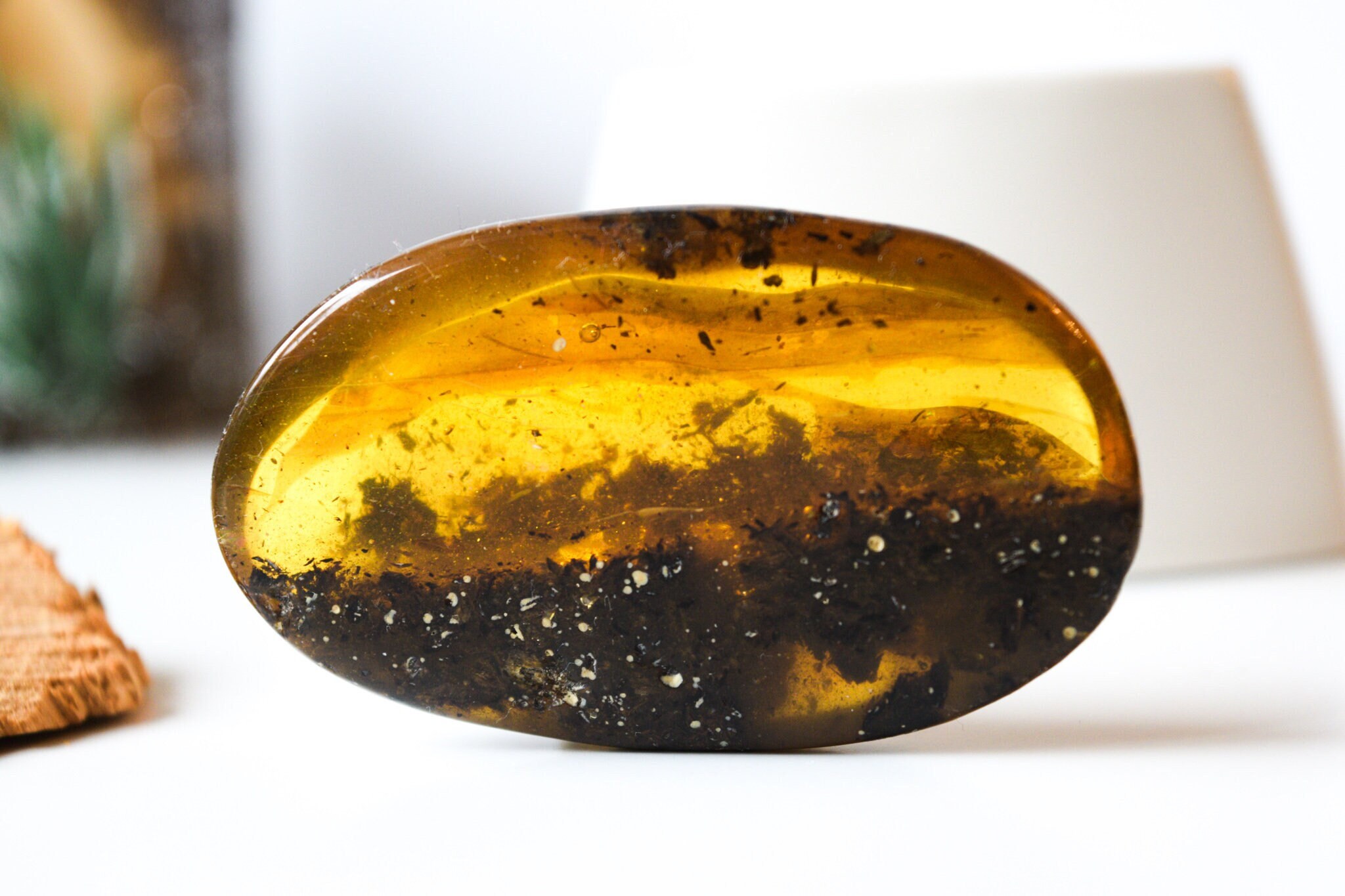 Large Amber Stone Collectors Specimen Amber Stone for - Etsy
