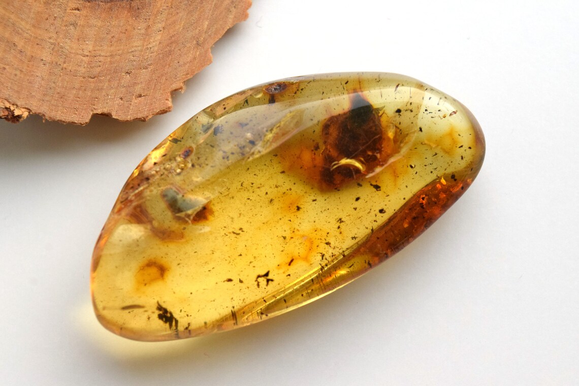 Large Amber Stone Collectors Specimen Amber for Display | Etsy
