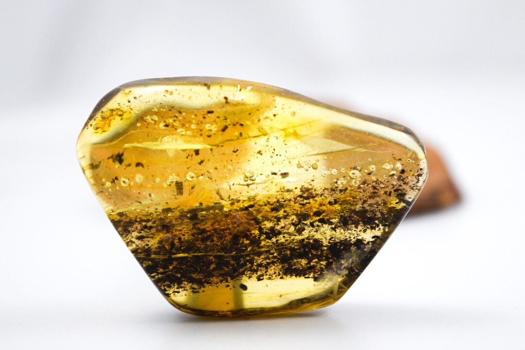 Large Amber Stone Collectors Specimen Amber Stone for - Etsy