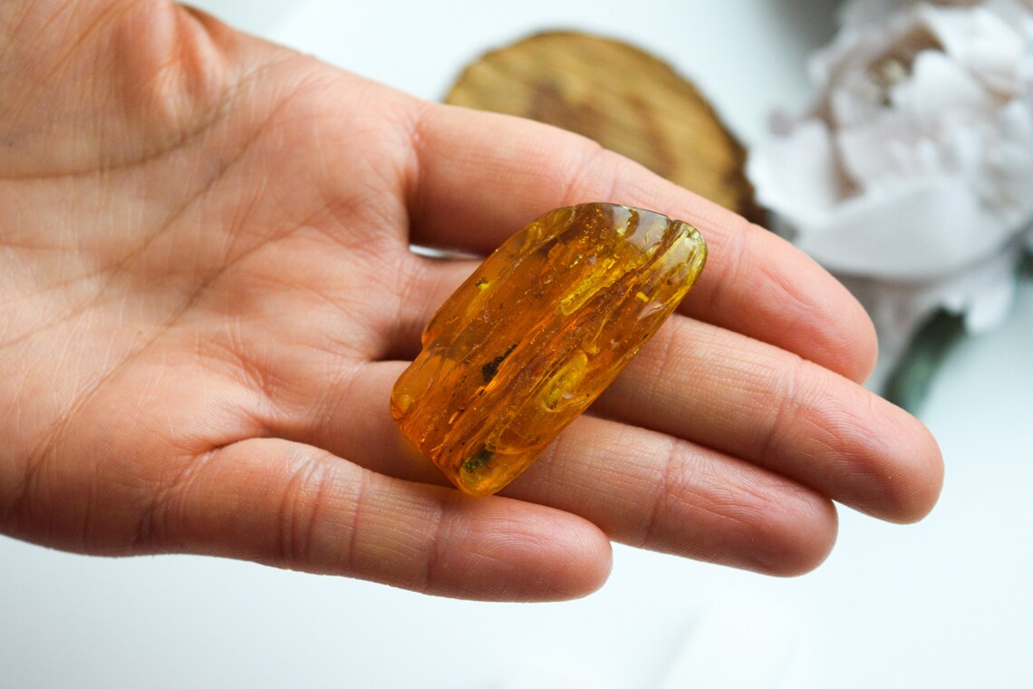 Amber Stone With Insect Inclusioncollector's - Etsy