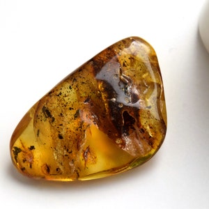 Genuine Amber StoneCollector's PieceNatural Baltic Amber | Etsy