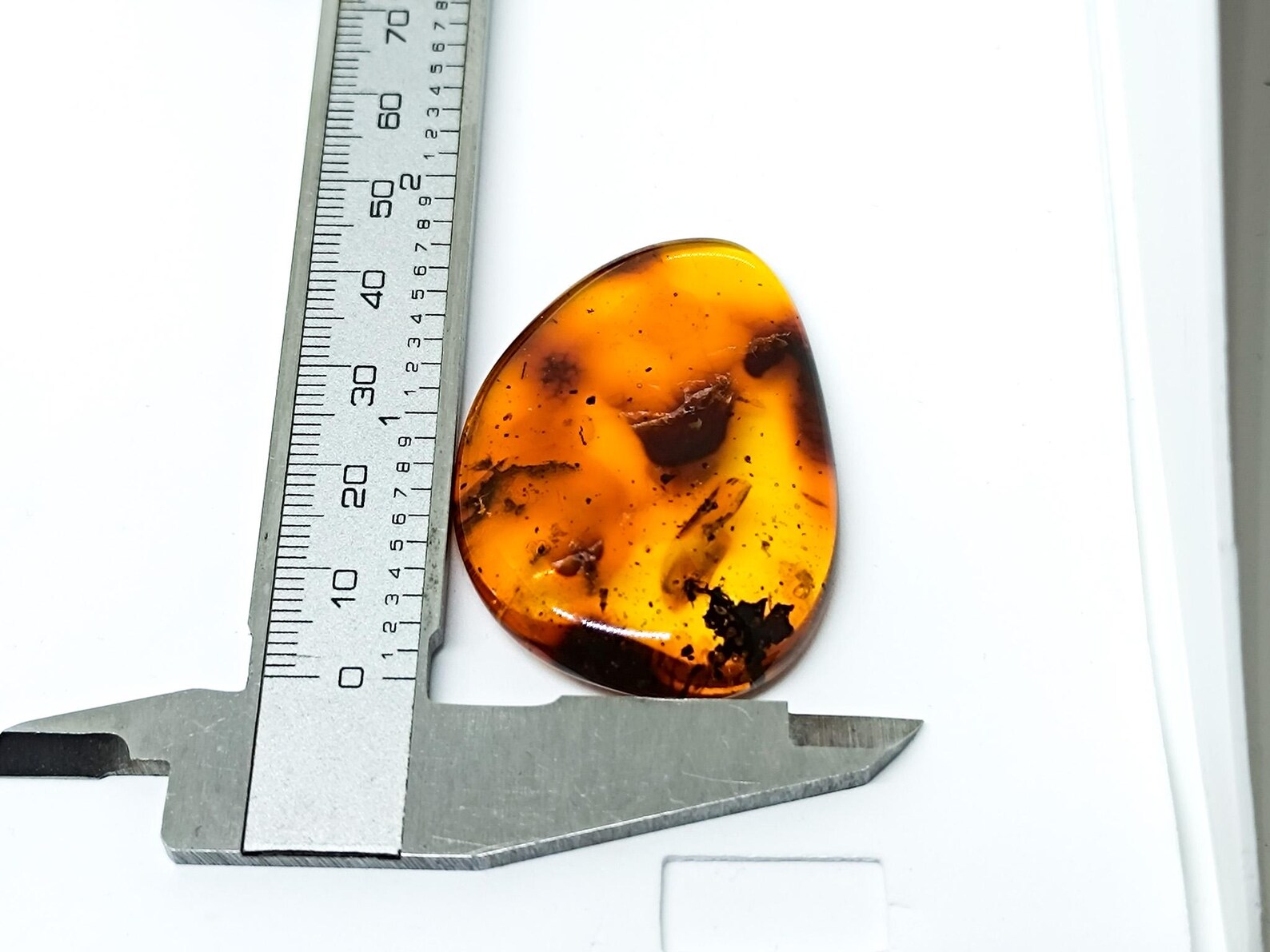 Rare Baltic Amber Stone With Insect Inclusion, Collectors Specimen - Etsy