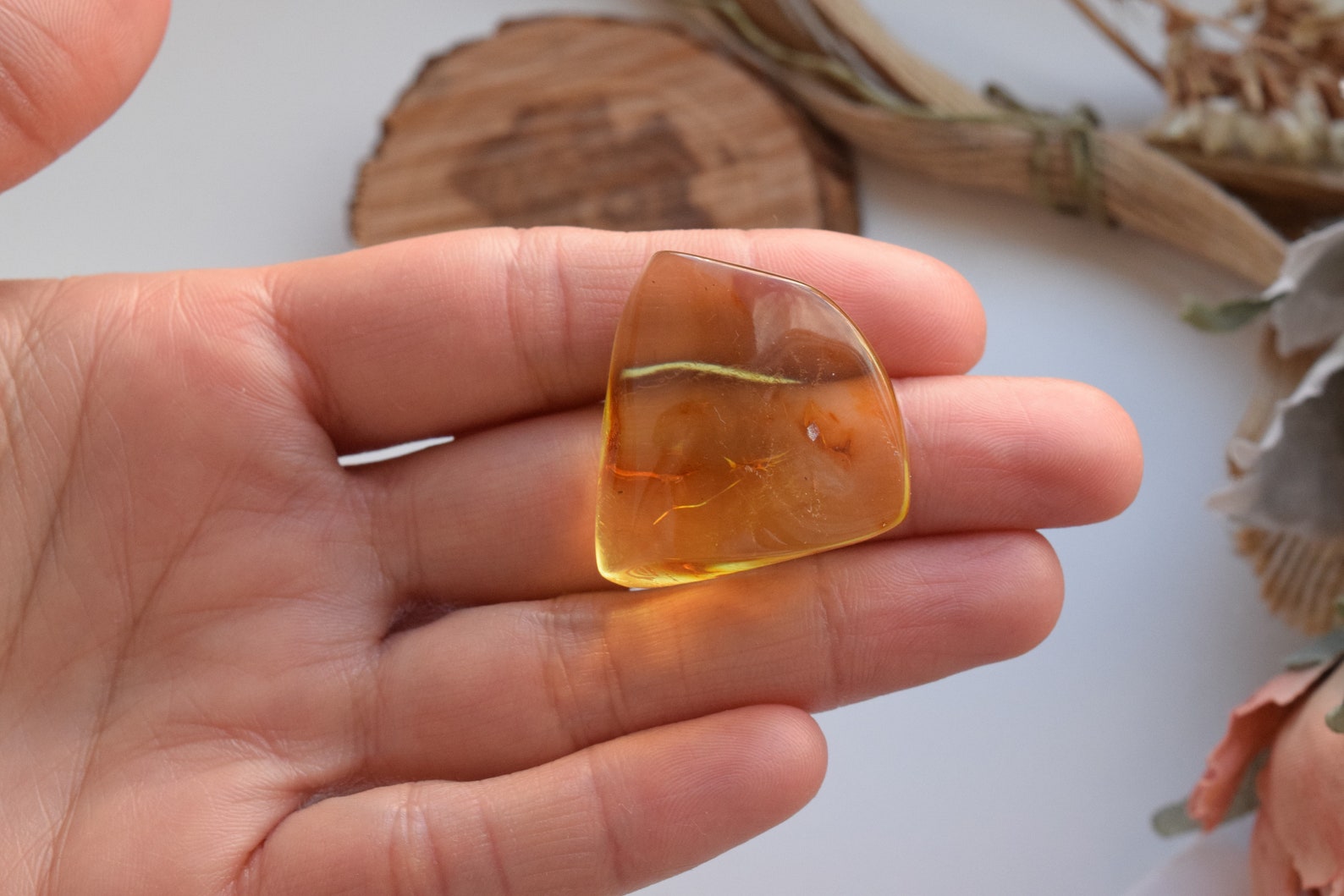 Large Amber Stone Collectors Specimen Amber palm stone for | Etsy