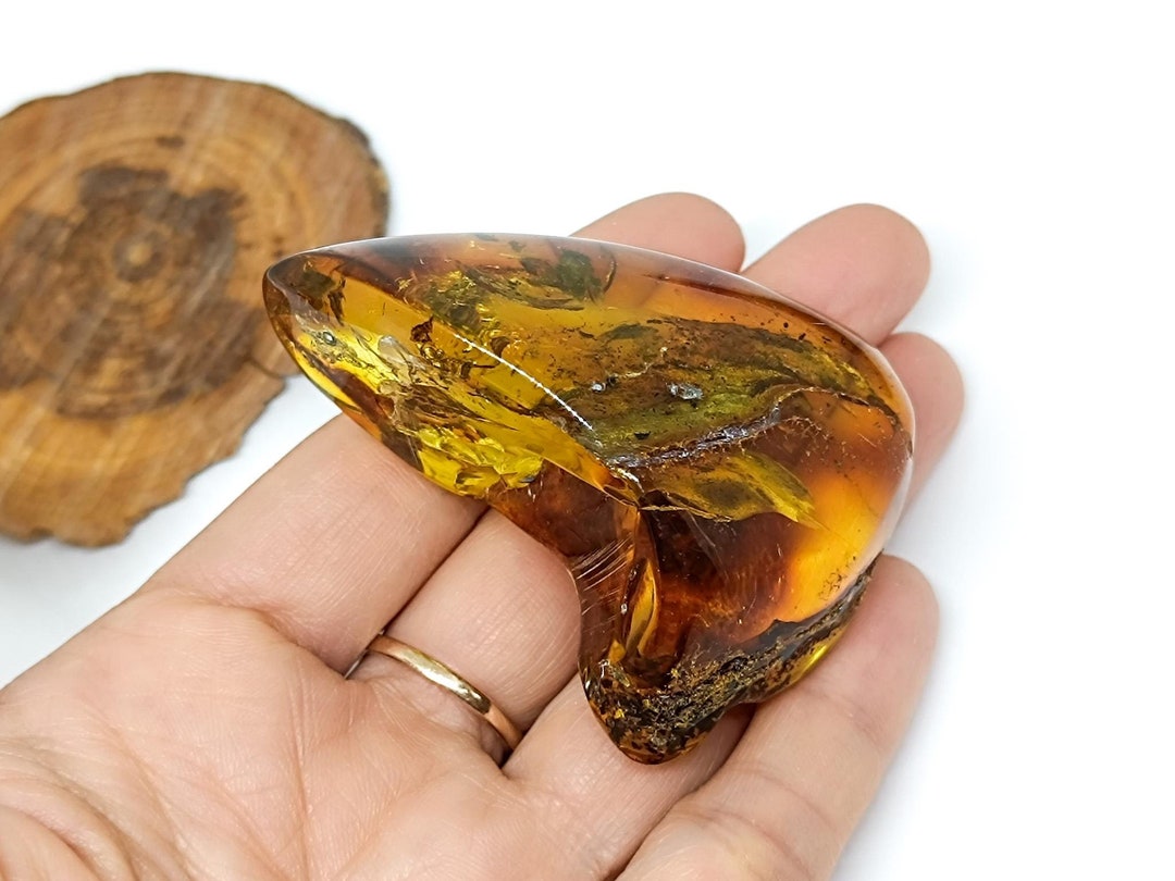 Large Amber Stone, Natural Amber Stone, Unique Shape Amber, Polished ...
