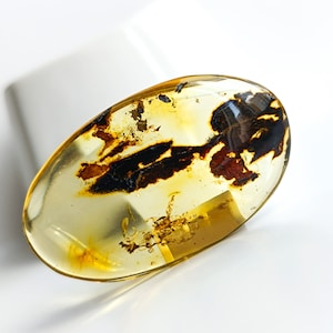 Large Amber Stone, Collectors Specimen, Amber Stone for Display ...