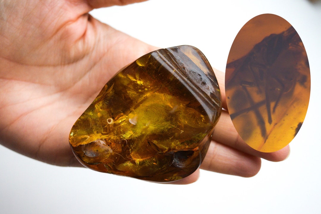 71gr Huge Amber Stone Natural Genuine Amber Piece Unique - Etsy
