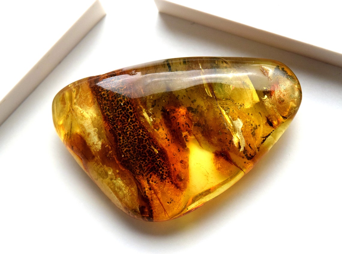 Genuine Amber StoneCollector's PieceNatural Baltic Amber | Etsy