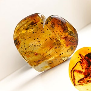 43gr Large Natural Heart Shape Amber Stone With Spider Inclusion ...