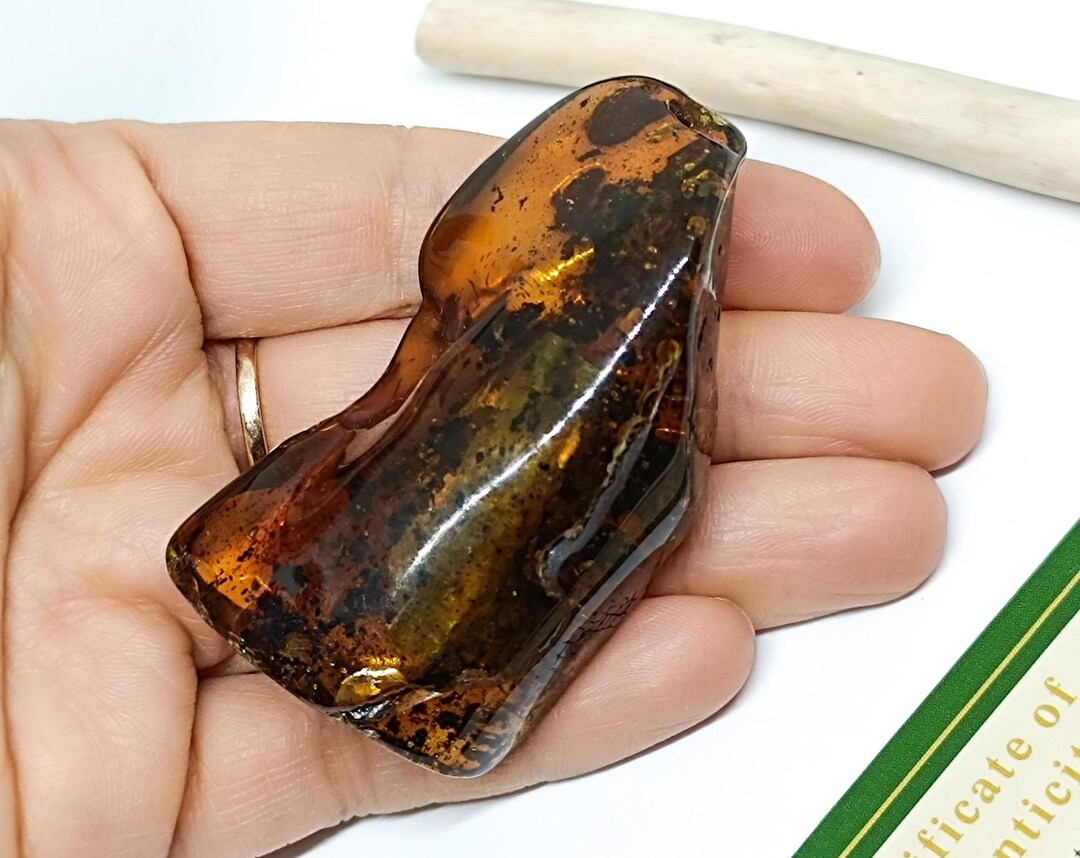 Large Natural Amber,collectors Specimen, Amber for Display, Large Palm ...