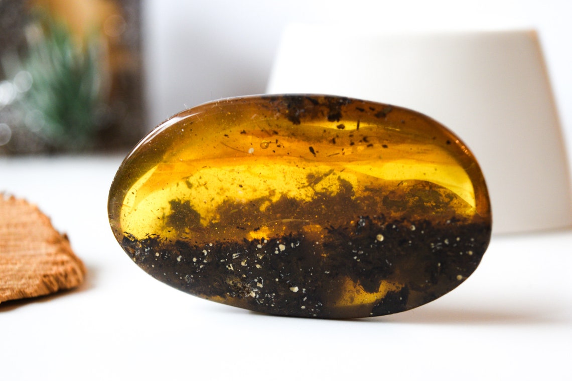 Large Amber Stone Collectors Specimen Amber Stone for - Etsy